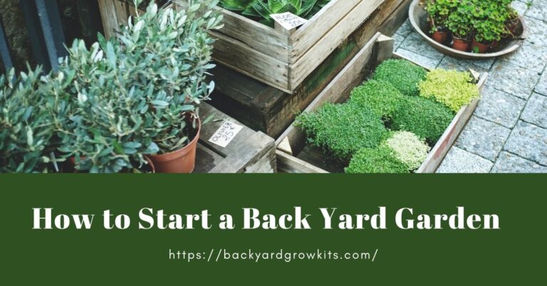 How to Start a Backyard Garden: 10 Steps for Beginners. – Backyard Grow ...