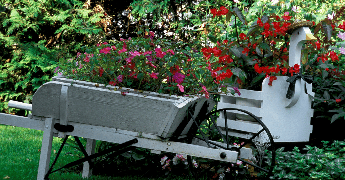 The Complete Guide to What a Planter Box is and How to Use Them for ...