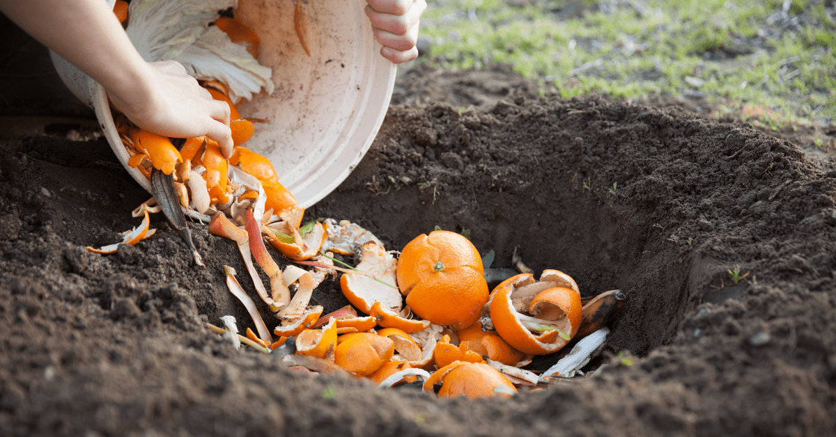 Different Things You Can Compost – Backyard Grow Kits