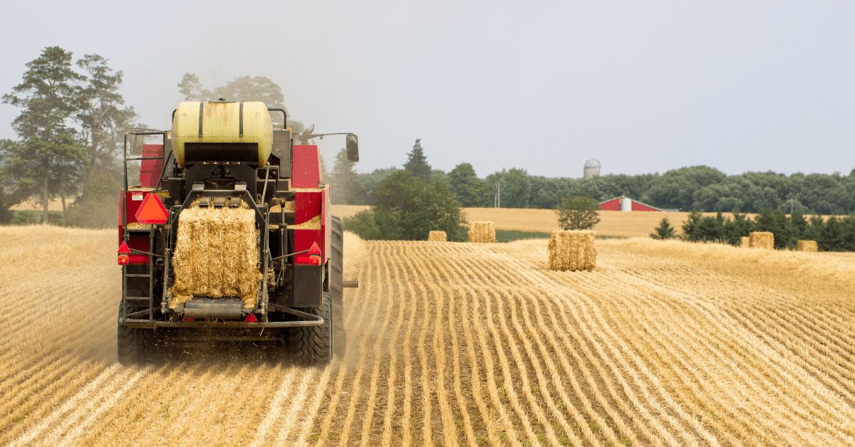 How to Get Started with Straw Bale Gardening: A Comprehensive Beginner ...