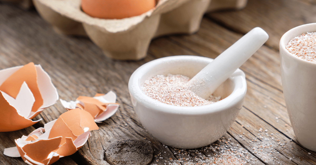 Say Goodbye to Chemicals: How Eggshells Can Keep Your Garden Pest-Free ...